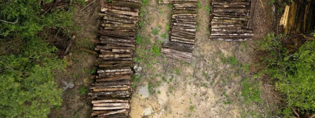 YouthNet Condemns Deforestation for COP30 Highway: A Call for Climate ...